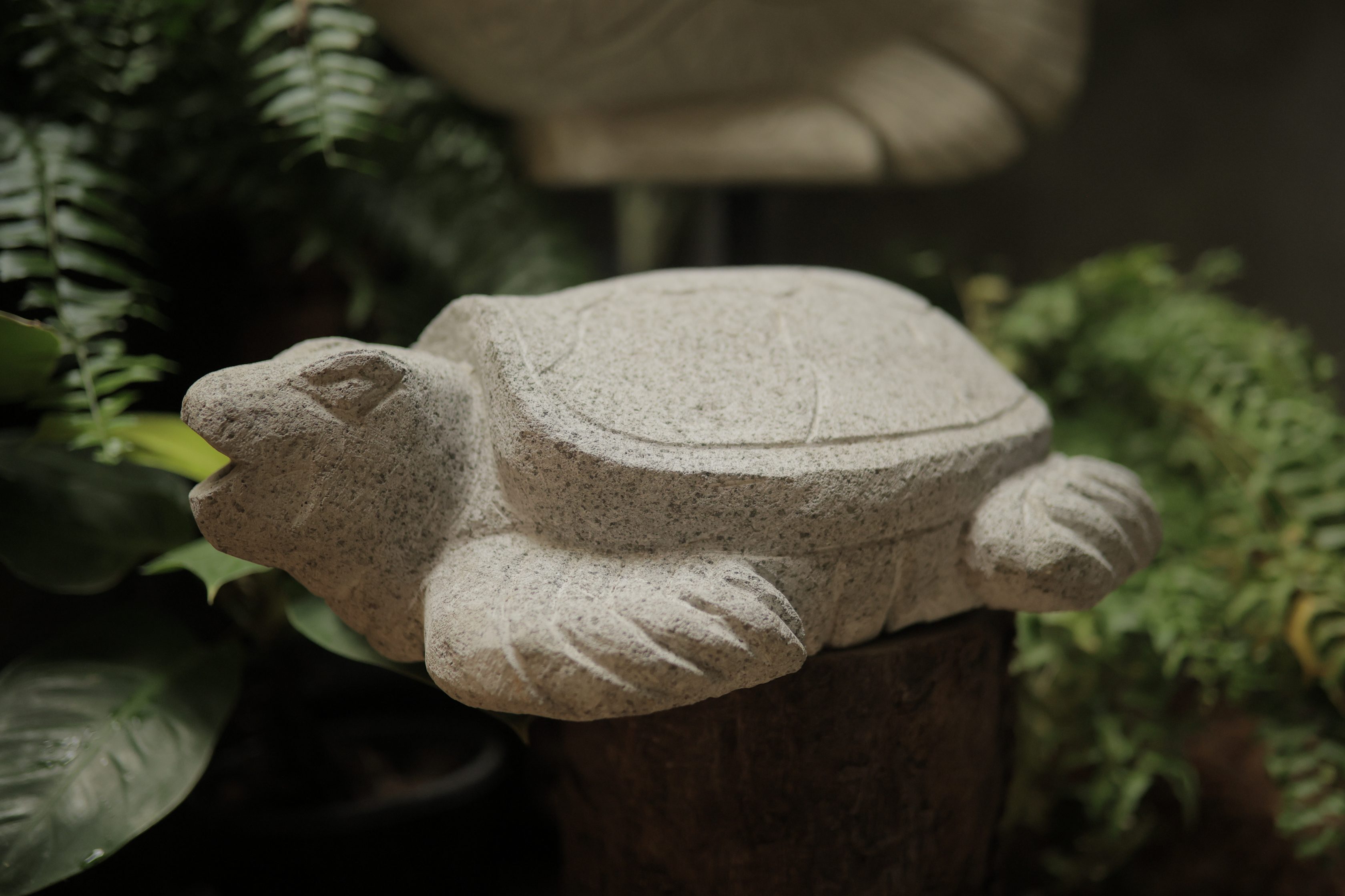 GARDEN TORTOISE - Wudapple