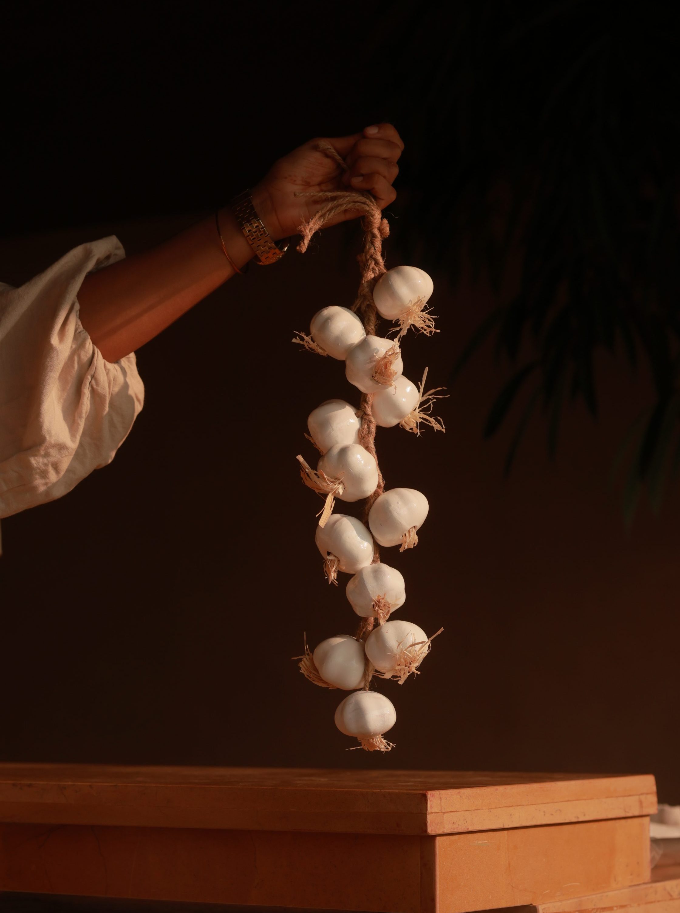 STRING OF GARLIC - Wudapple